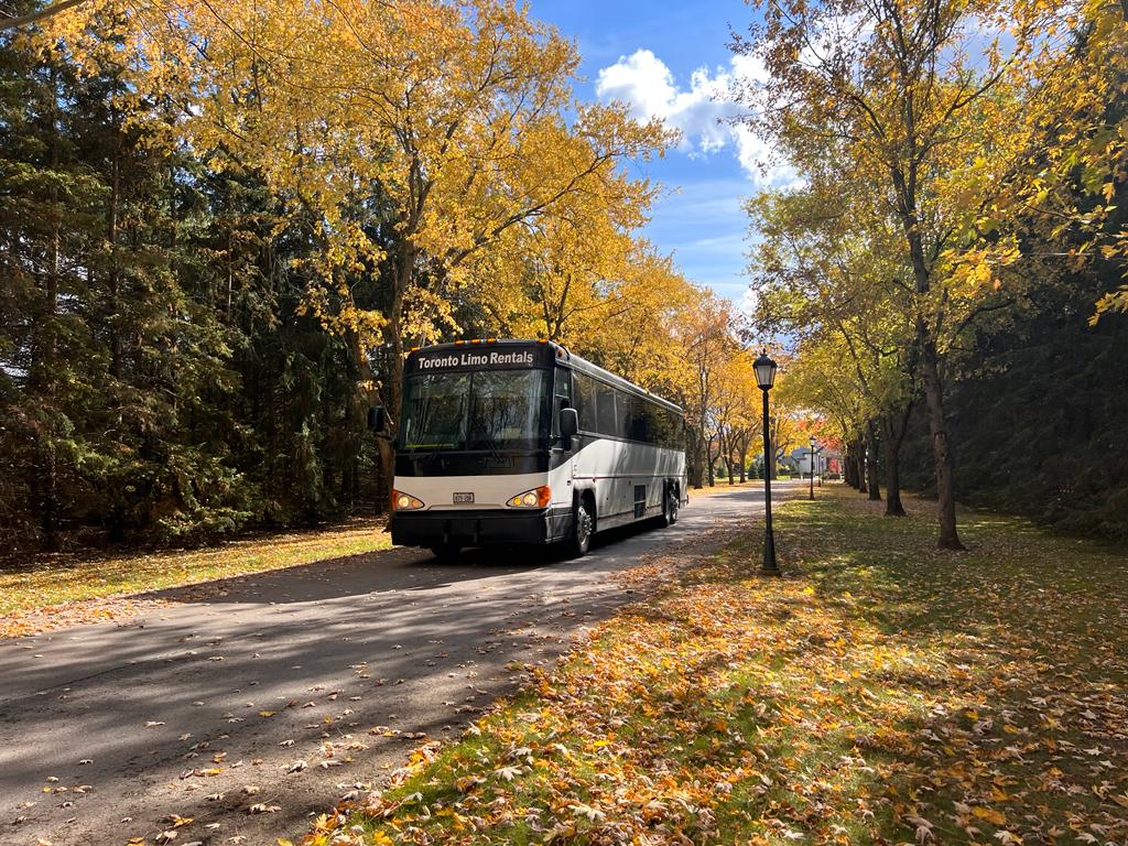 A Romantic Evening in a Toronto Limousine – Limo Blog